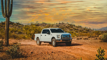 About Us – Daystar